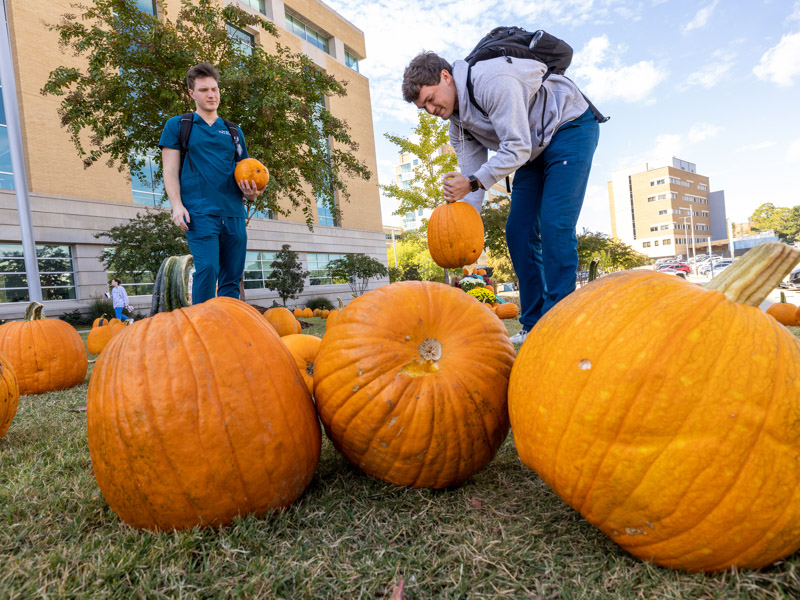 Photos: UMMC’s Halloween celebrations - University of Mississippi ...