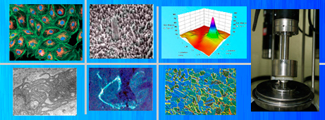 Biomedical Materials Science - University of Mississippi Medical Center