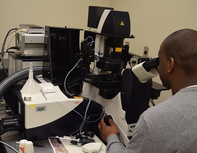 Confocal Microscopy - University of Mississippi Medical Center